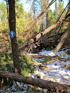 Wilderness Supply - Mantario Hiking Trail Maps now available at ...